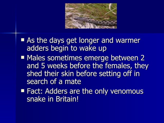 Hibernationand migration | PPT