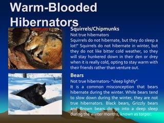 Hibernation | PPTX
