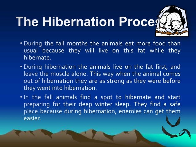 Hibernation