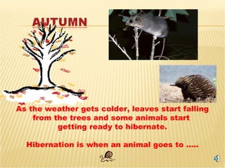 Hibernation PPT Lesson 9 | PPT