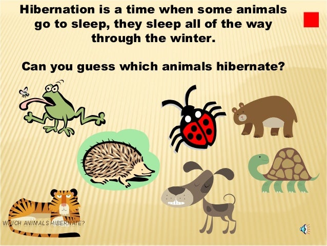 Hibernation Ppt Lesson 9