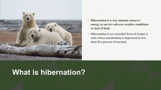 Hibernation Sosan.pptx it is well explained and with good pictures ...