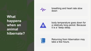 Hibernation Sosan.pptx it is well explained and with good pictures ...