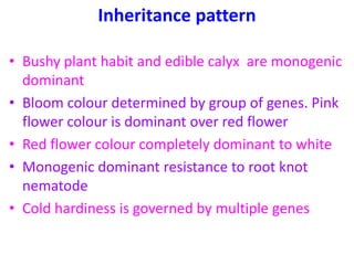 Hibiscus breeding.pptx