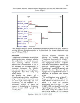 Detection and molecular characterization of phytoplasma associated with ...