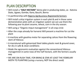 HIBISCUS_PLOT_DEMO.pdf