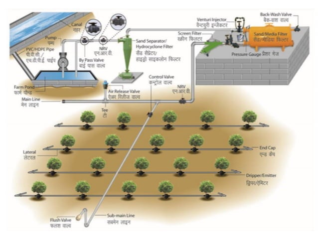 HIBISCUS_PLOT_DEMO.pdf