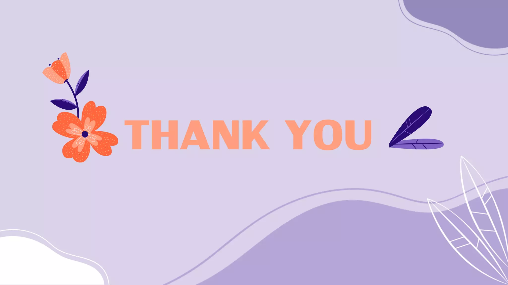 Hibiscus rosa sinensis L. | PPT