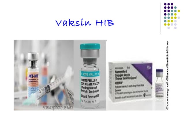 Hib prp t & hib prp-omp | PPT