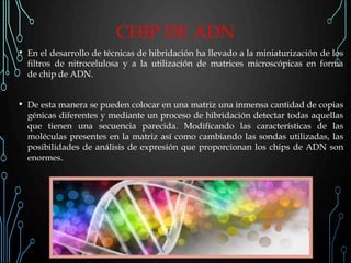 Hibridacion de acidos nucleicos | PPTX