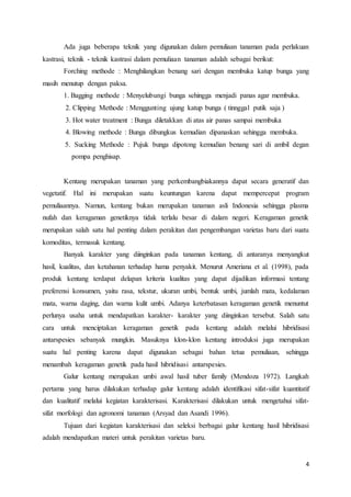 Hibridisasi 2 | DOCX