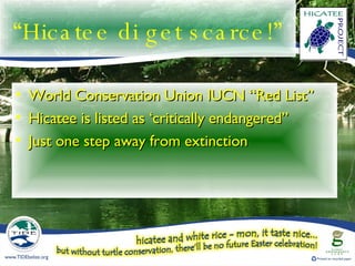 Hicatee Schools Presentation | PPT