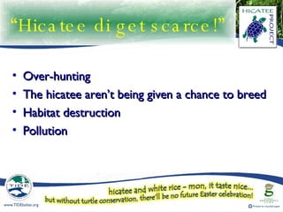 Hicatee Schools Presentation | PPT