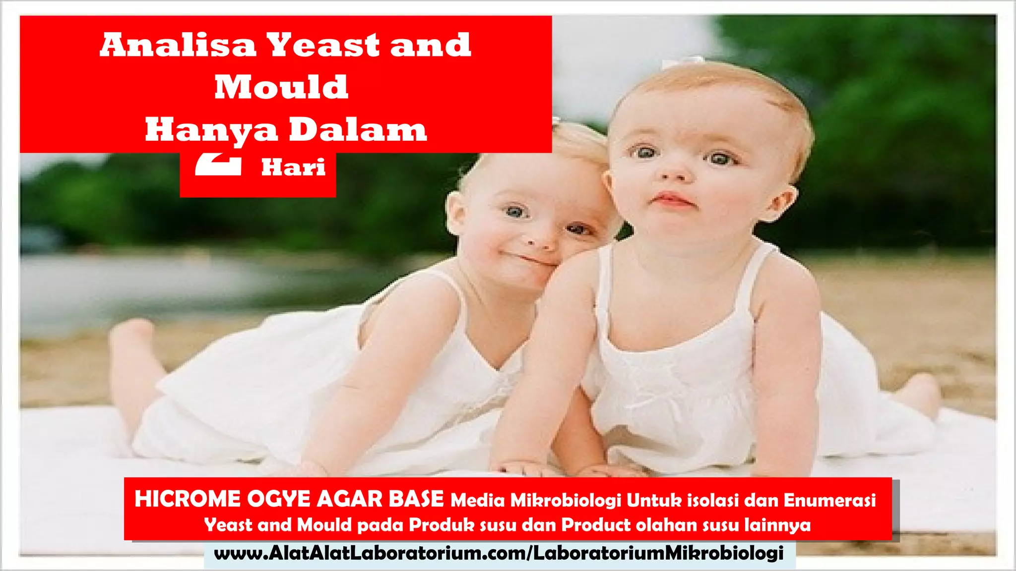 HiChrome OGYE Agar Base Analisa Yeast And Mould Dalam 2 Hari | PPT