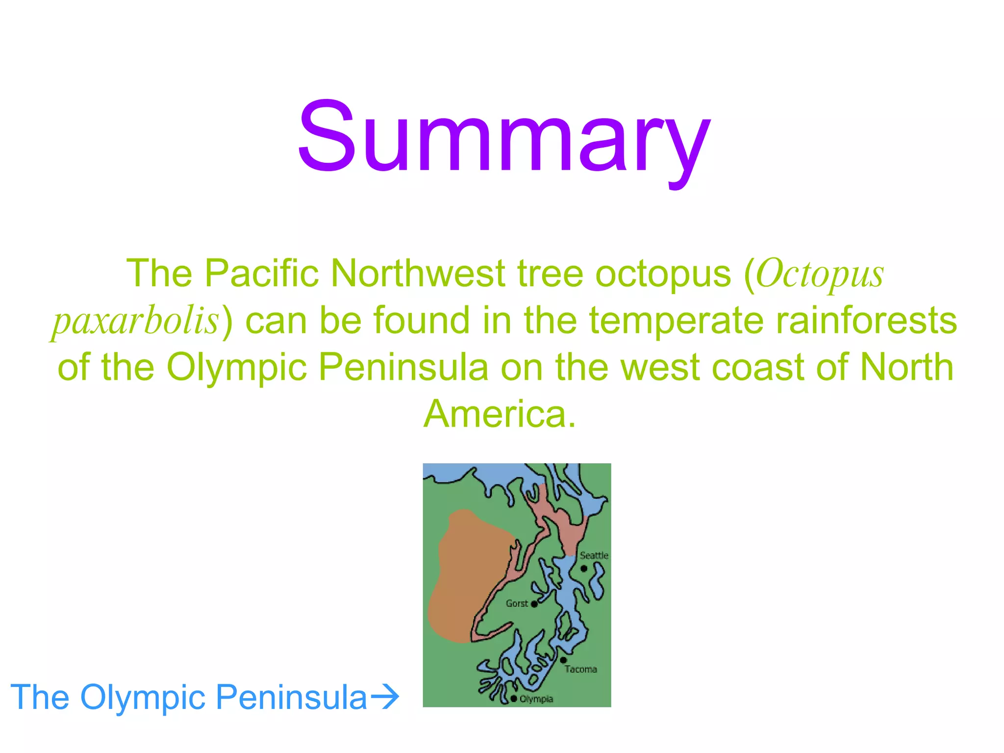 Tree Octopus | PPT