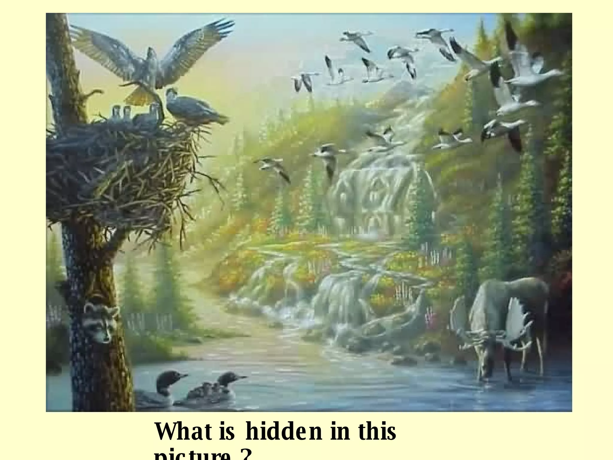 Hidden Images | PPT