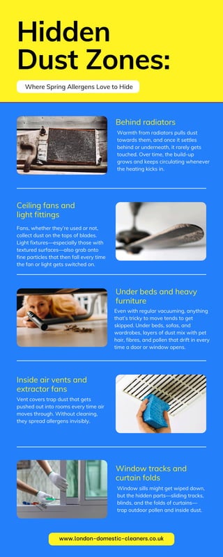 Hidden Dust Zones Where Spring Allergens Love to Hide.pdf