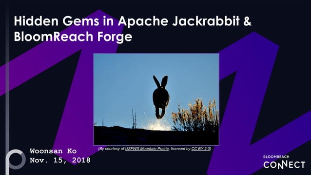 Hidden gems in Apache Jackrabbit and BloomReach Forge | PPT