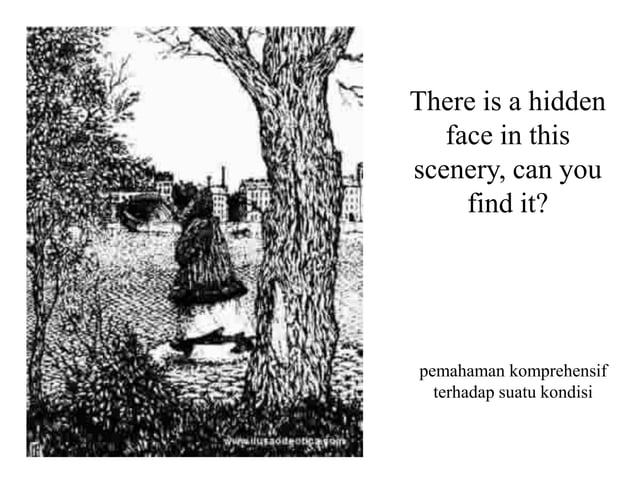 Hidden images for an perception | PPT