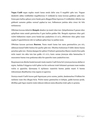 Hidhaa Jaalalaa :imlaa maatii koo !!.pdf