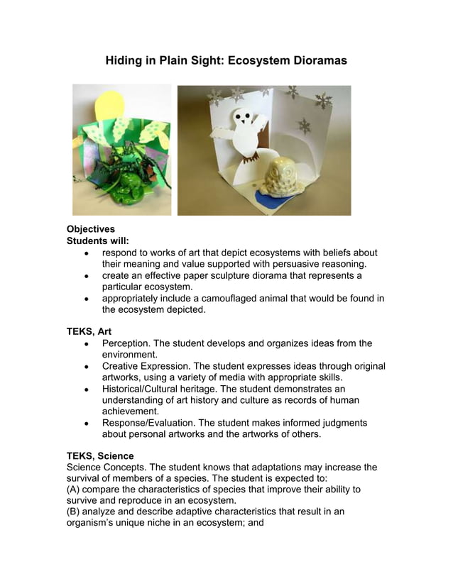 Hiding in Plain Sight Lesson | PDF