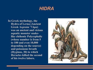 Hidra | ODP
