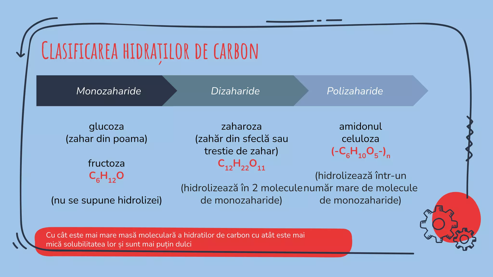 hidrații de carbon.pdf