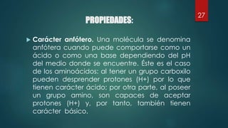 Hidratos de carbono y Aminoácidos | PPTX
