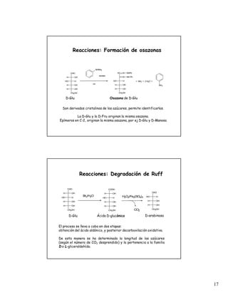 Hidratos de carbono | PDF