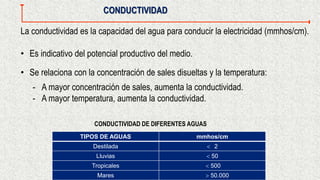 HIDROBIOLOGÍA UNID II.pptx