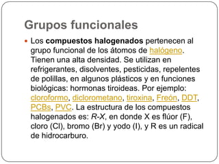 Hidrocarburos | PPTX