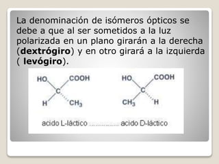 Hidrocarburos | PPTX