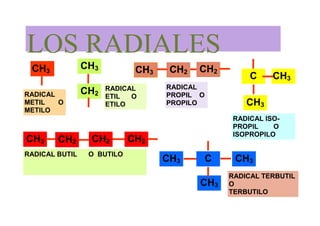 Hidrocarburos ramificados | PDF