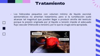 Hidrocele y espermatocele.pptx