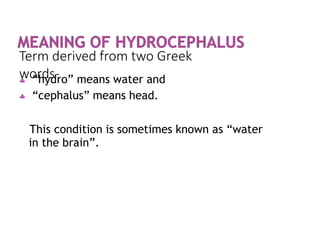 Hidrocephalus presented | PPTX