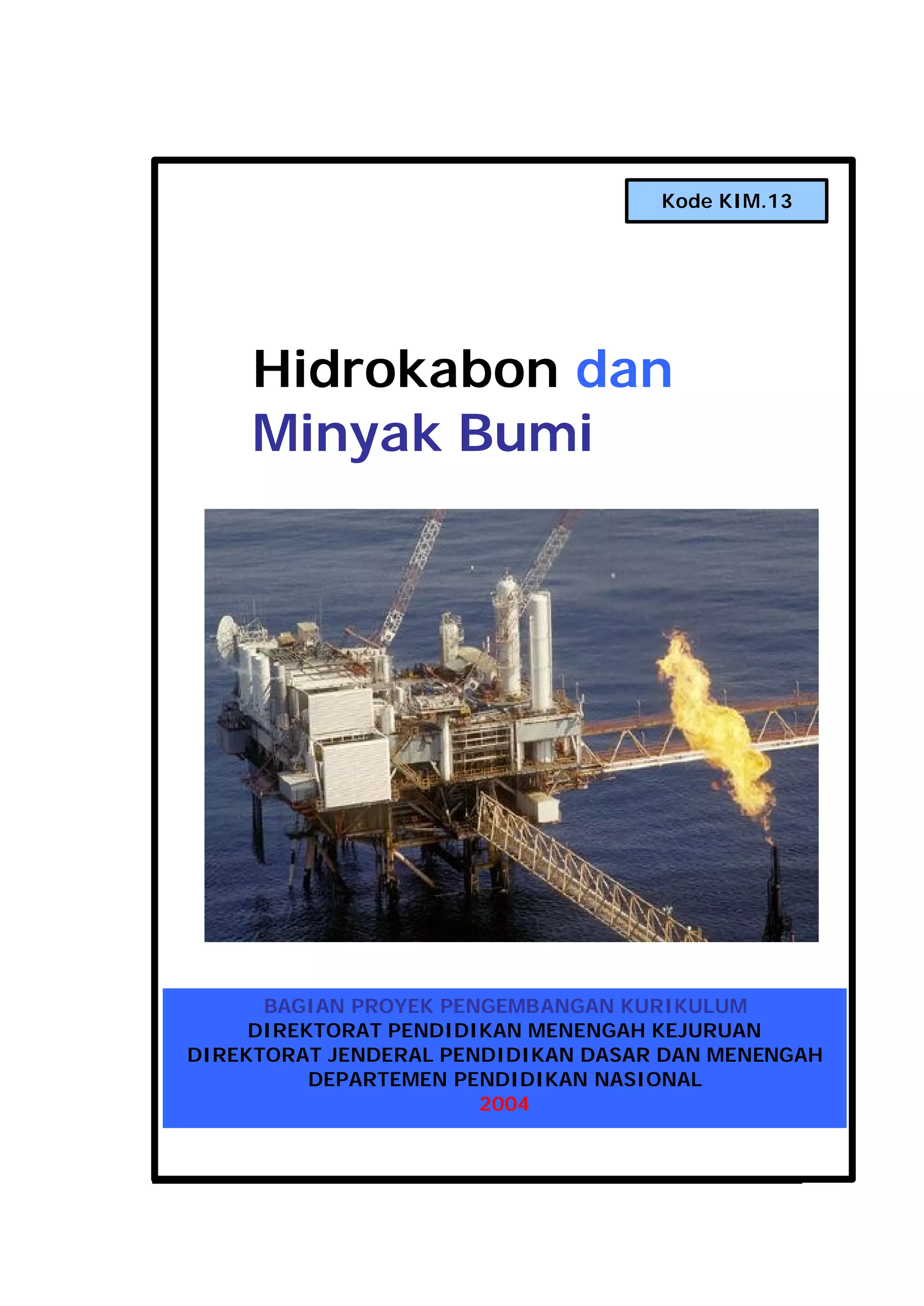 Hidrokarbon dan minyak bumi | PDF