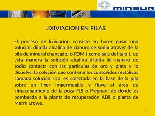 Hidrolisis del Cianuro de Sodio en los procesos | PPTX