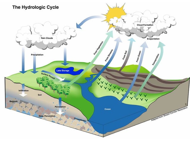 Hidrologi Hutan Bab3 Infiltrasi dan Intersepsi.ppt