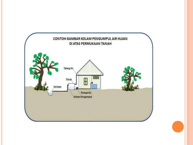 Hidrologi tanaman(Panen air hujan).pptx