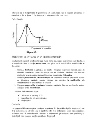 Hidrometalurgia work | DOCX