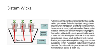 ppt menanam tanaman dengan metode hidroponik | PPTX