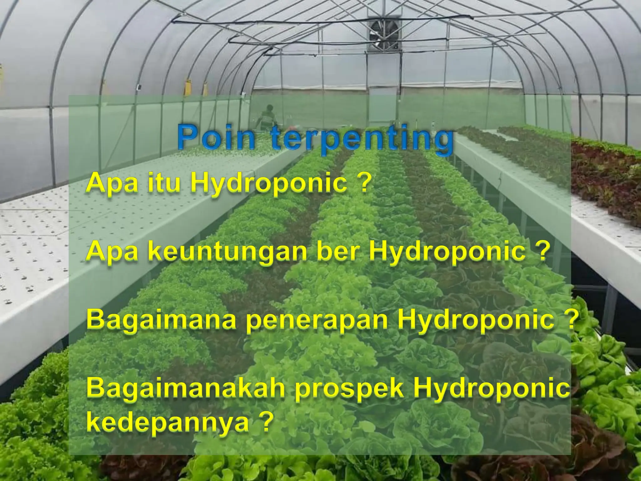 belajar mengenal hidroponik bagi pemulaa | PPTX