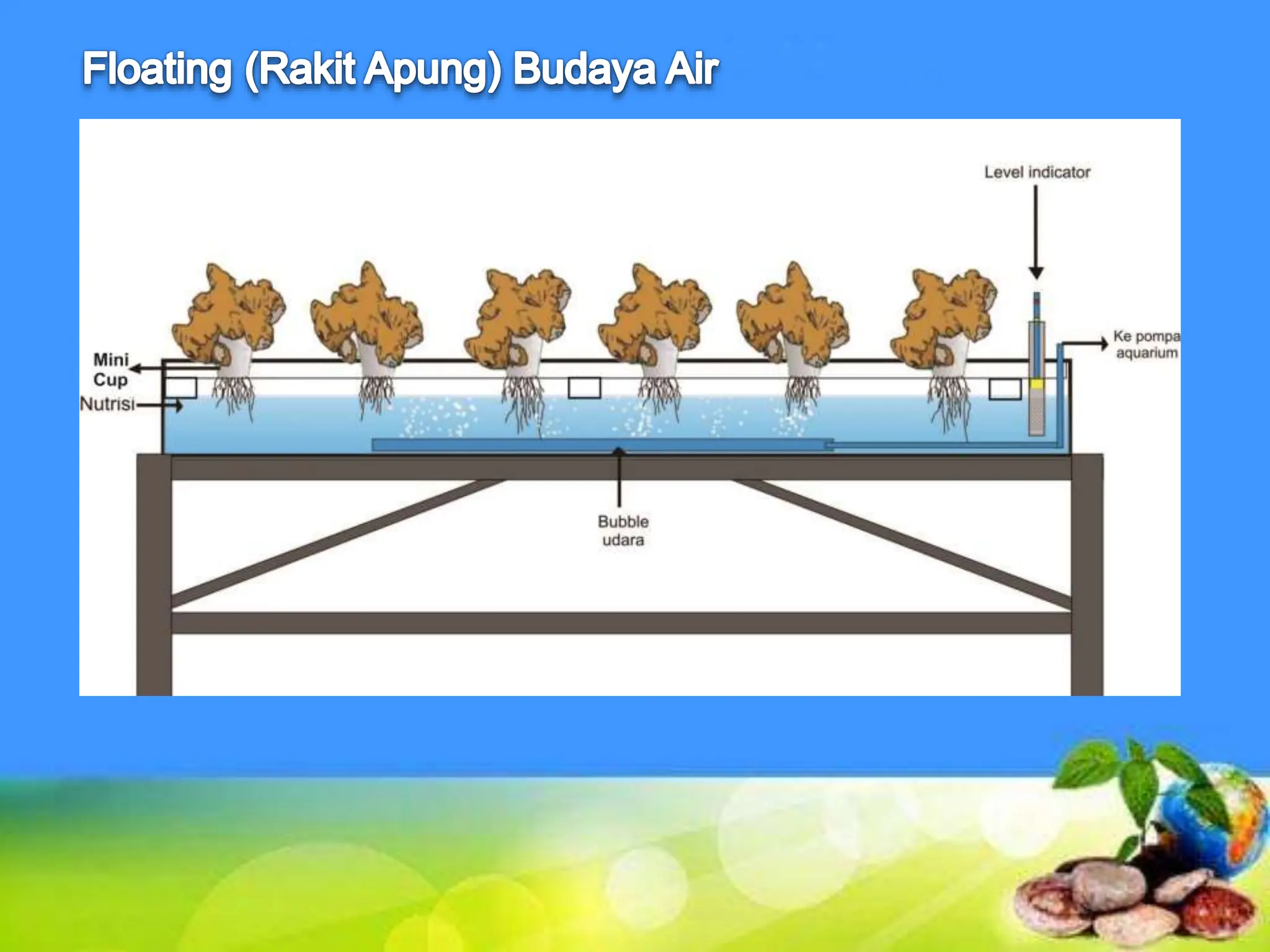 belajar mengenal hidroponik bagi pemulaa | PPTX