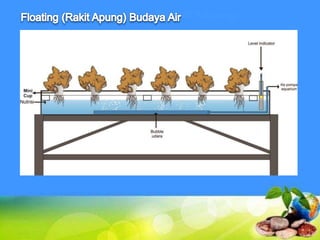 belajar mengenal hidroponik bagi pemulaa | PPTX