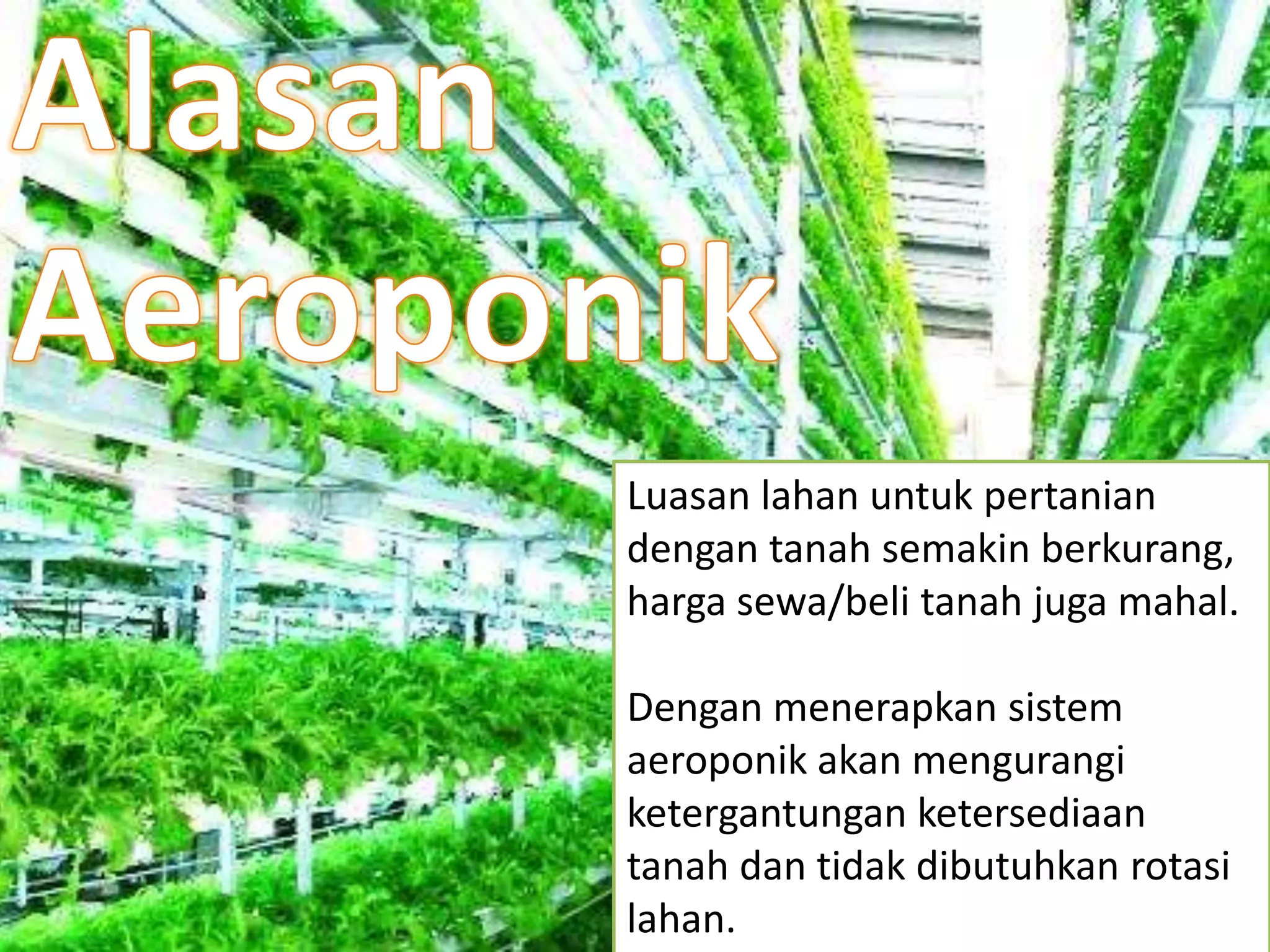 Penanaman Cara Hidroponik dan Aeroponik | PPTX