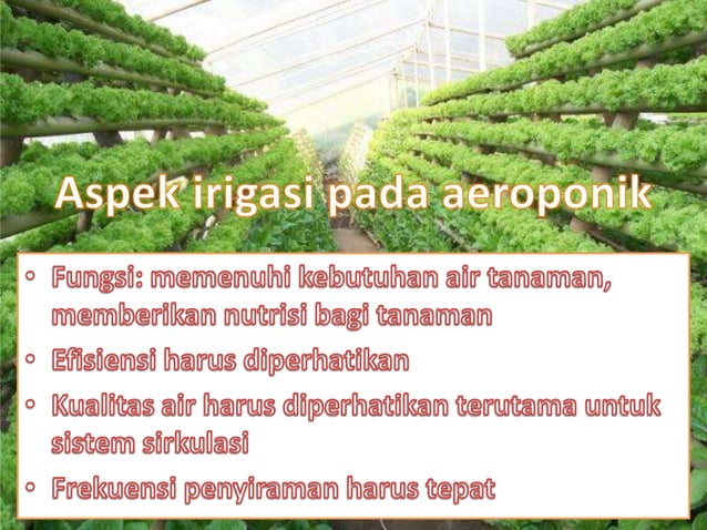 Penanaman Cara Hidroponik dan Aeroponik | PPTX