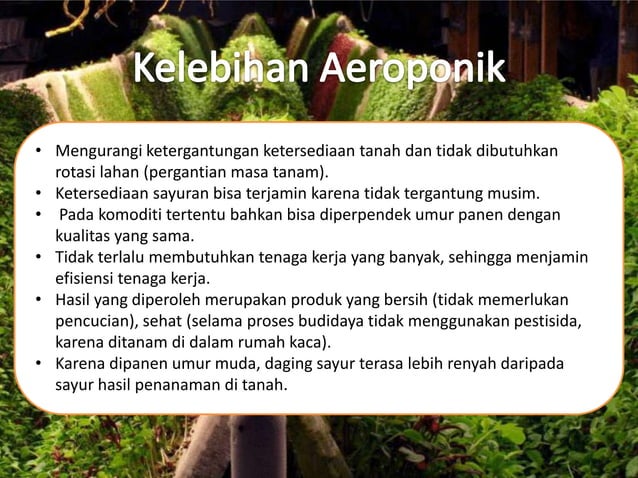 Penanaman Cara Hidroponik dan Aeroponik | PPTX
