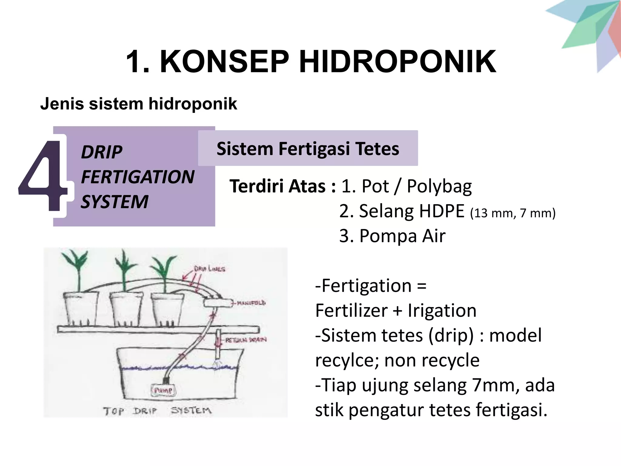 Hidroponik Pemula -1 | PDF