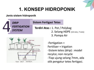 Hidroponik Pemula -1 | PDF