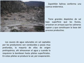 Hidroquimica de las salinas de zapotitlan | PDF